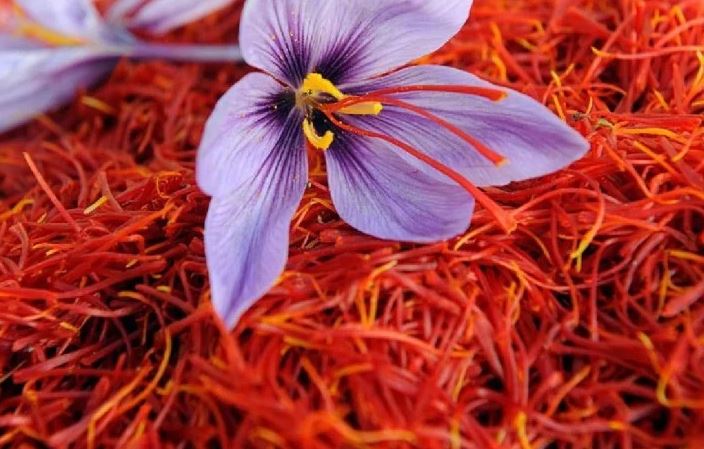 How to find original saffron – Saffron Lanka
